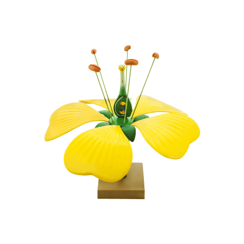 Typical Flower Model - Science Lab Equipment Manufacturer